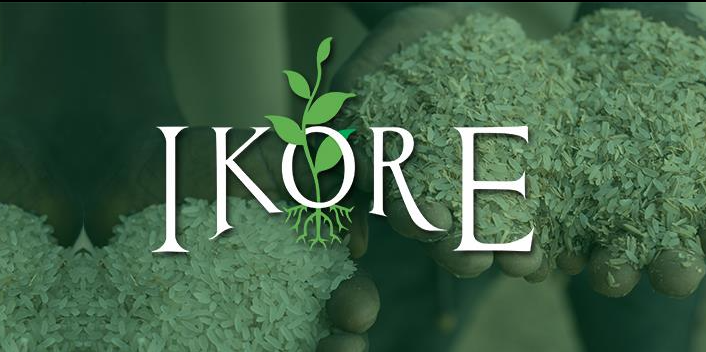 Apply Now! Ikore International Graduate Trainee Program 2026 | Launch ...